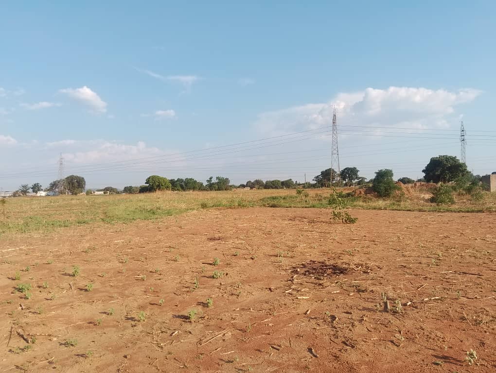 7 Hectare flat level land in Norton - Lookabode